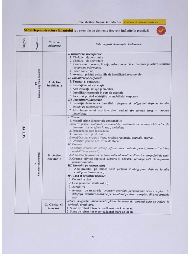 Notiuni Introductive Contabilitate | PDF