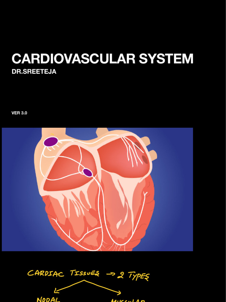 Cardiovascular Physiology | PDF
