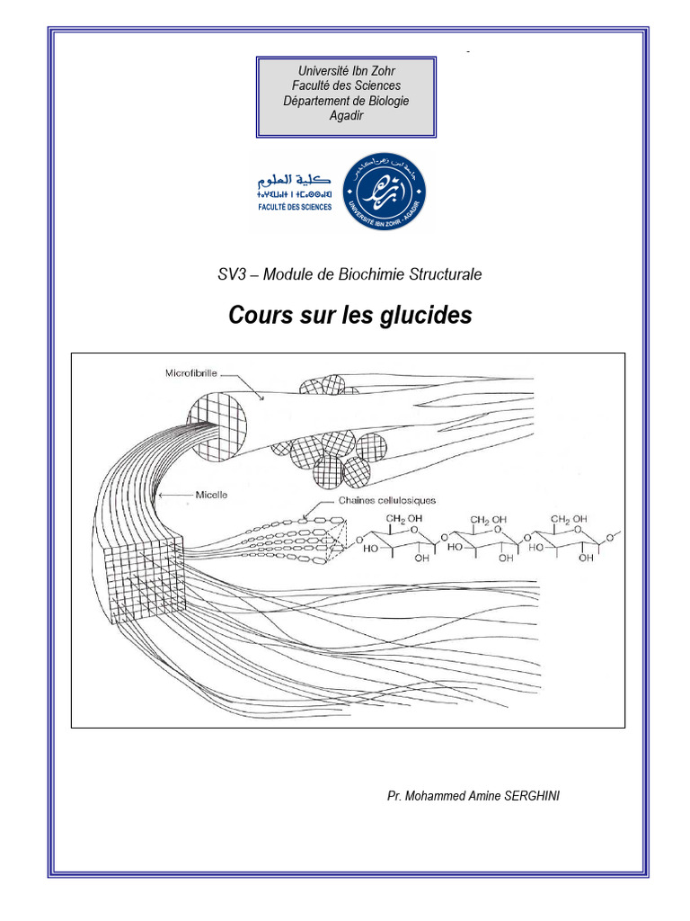 Cours Sur Les Glucides | PDF