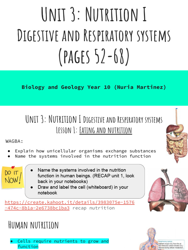 Unit 3 - Nutrition I - Digestive and Respiratory Systems | PDF