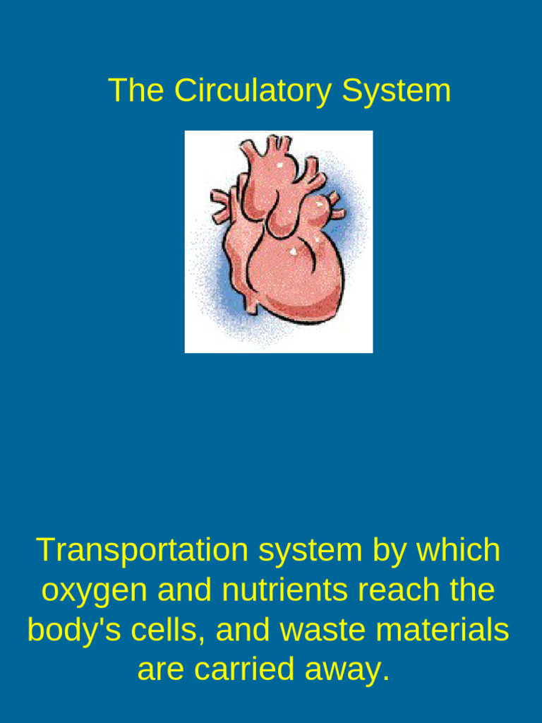 The Circulatory System | PDF