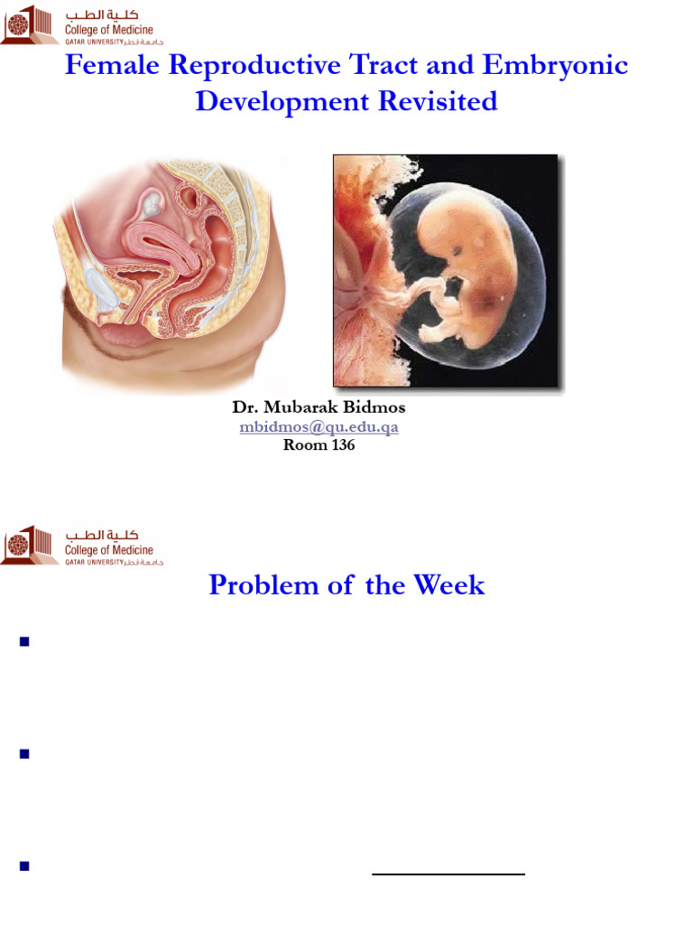 Female Reproductive System and Embryonic Development | PDF