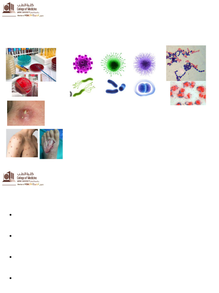 Introduction To Medical Microbiology-Lecture and Dry Lab-2024 | PDF