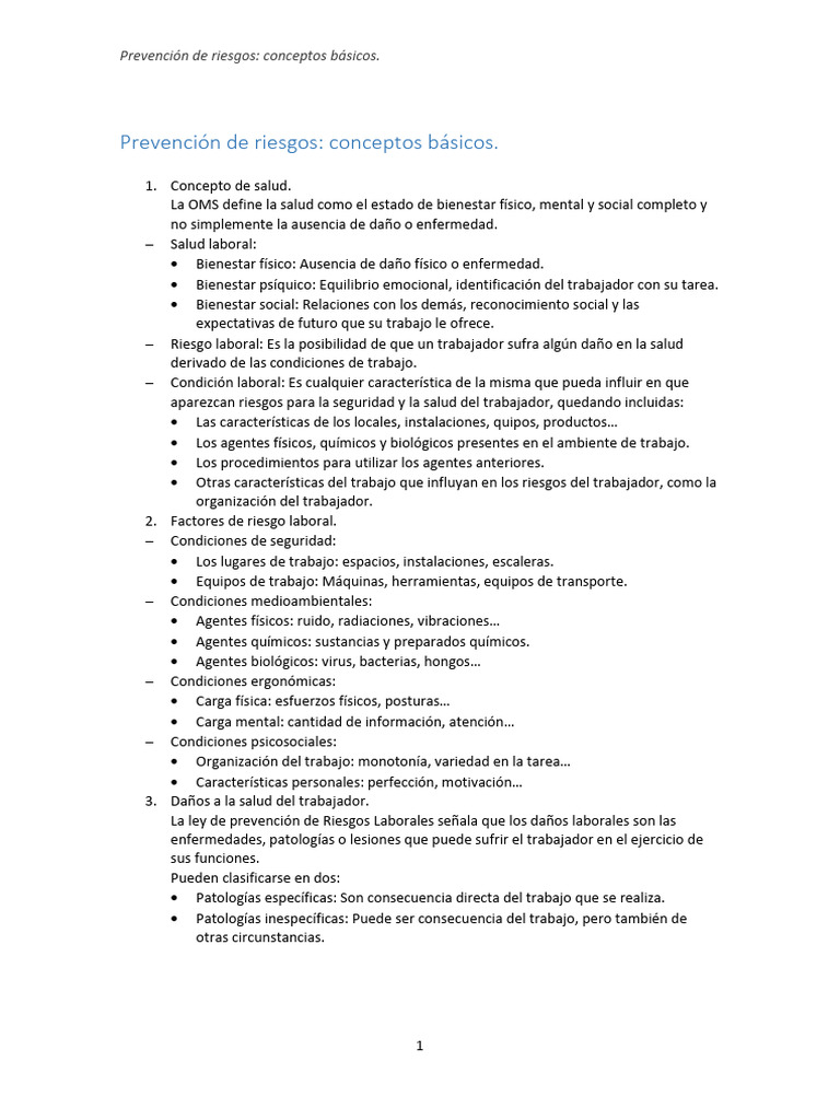 Prevenci N de Riesgos, Conceptos B Sicos. | PDF