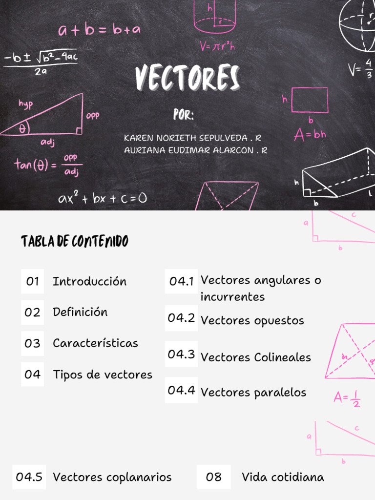 Tipos y Ejemplos de Vectores | PDF | Vector Euclidiano | Ciencia y ...