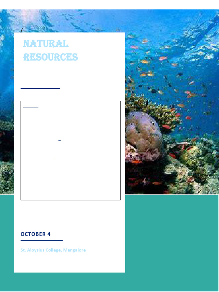 Natural Resouces Notes | PDF