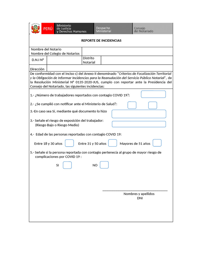 Formato de Reporte de Incidencias (Formato Editable) | PDF