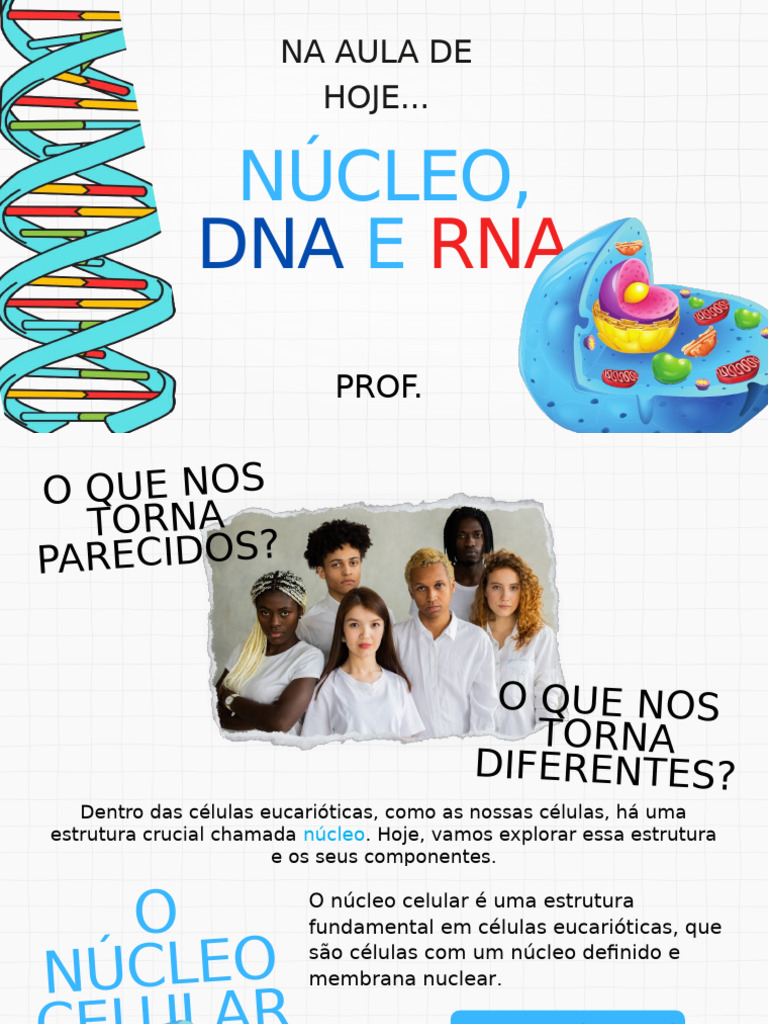 Núcleo, DNA e RNA - PowerPoint | PDF