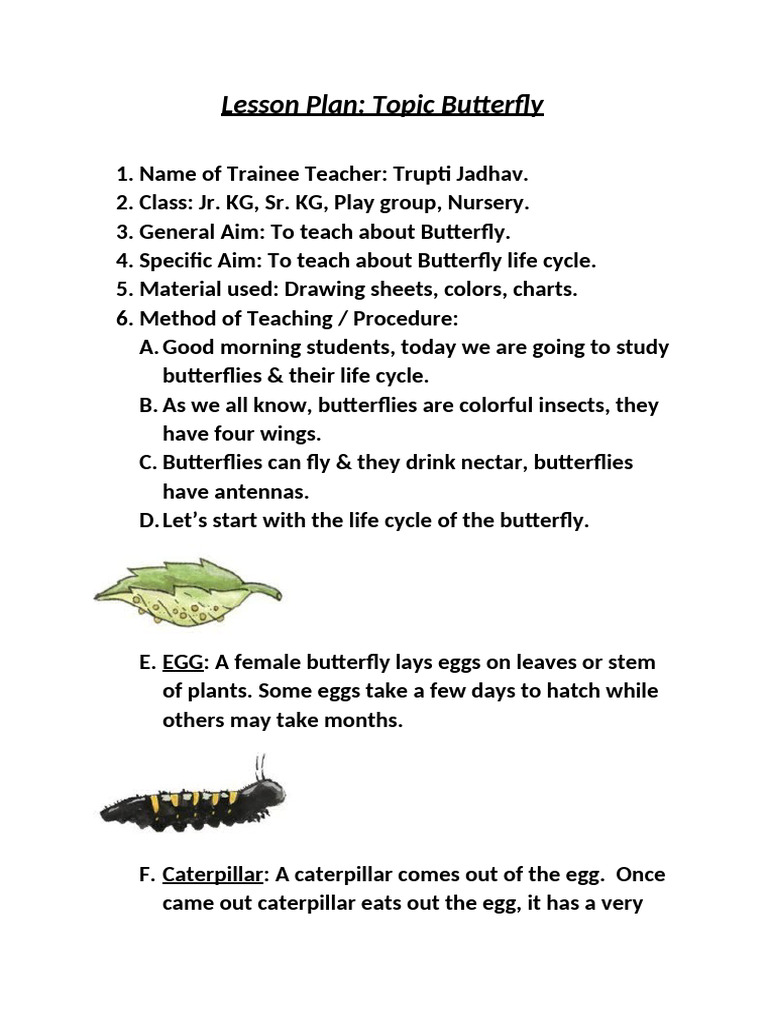 Lesson Plan Butterfly | PDF
