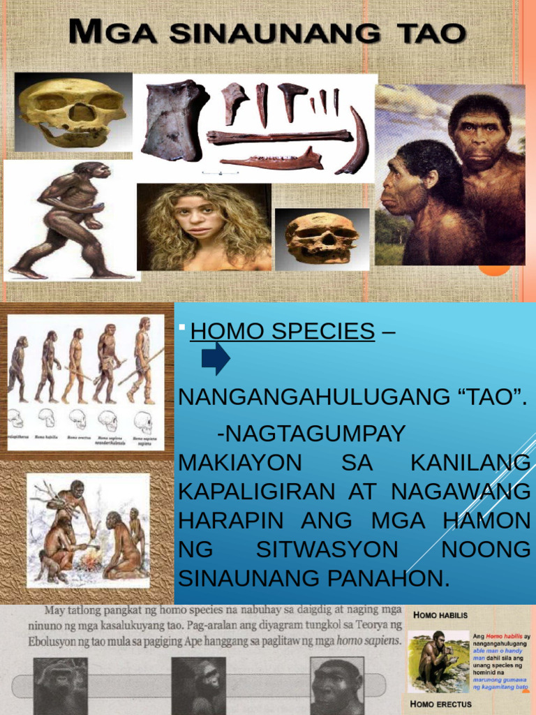 Sinaunang Tao | PDF