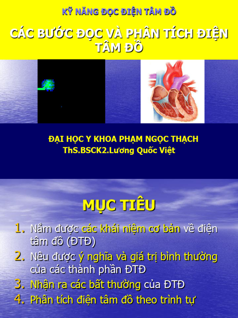 Cac Buoc Doc Ecg | PDF