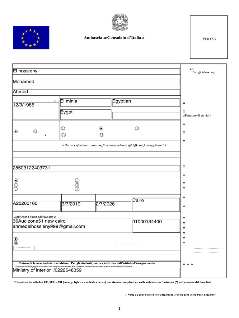 Schengen Visa English - Form | PDF