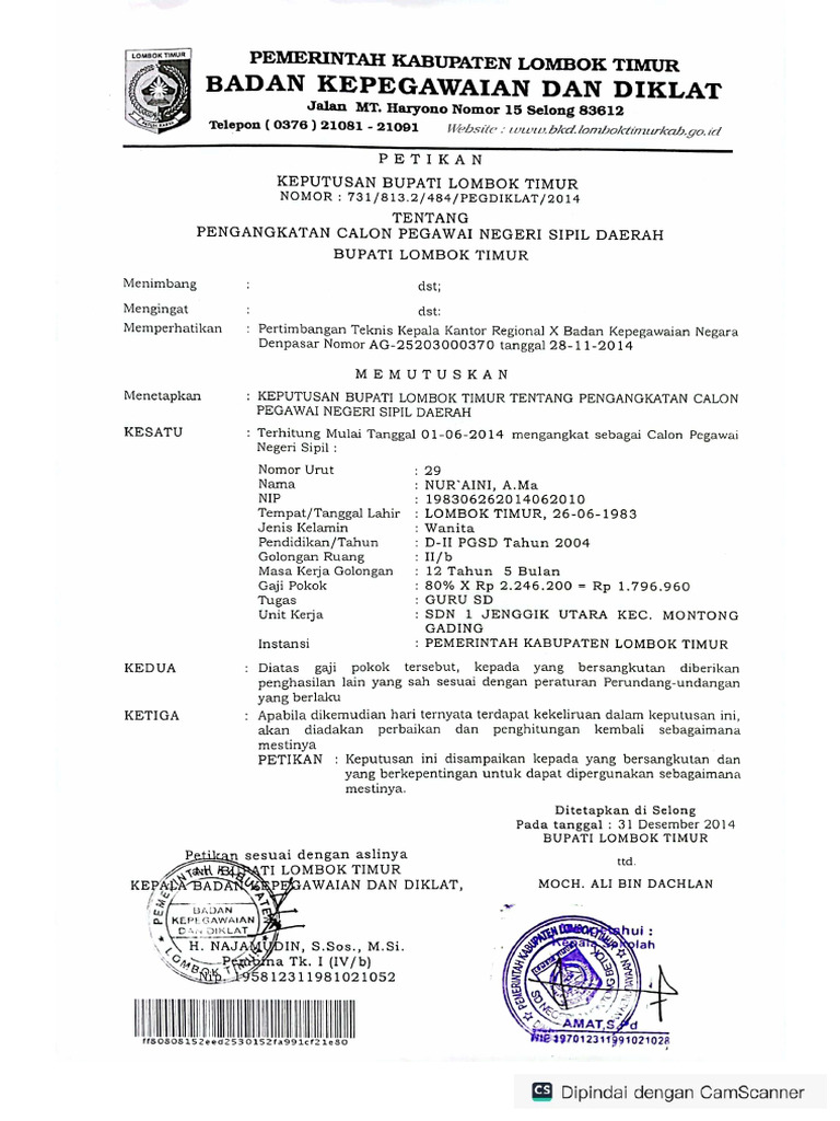 SK CPNS Nur'aini | PDF