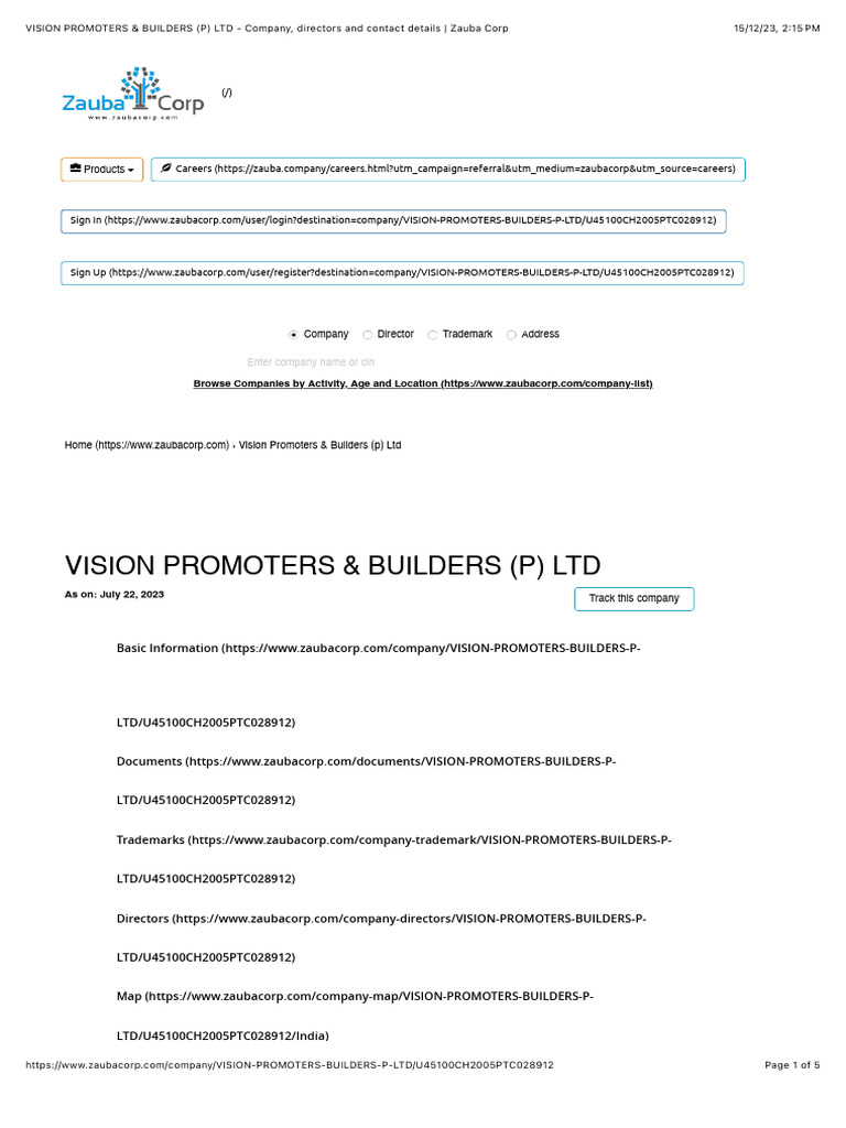 Vision Promoters | PDF