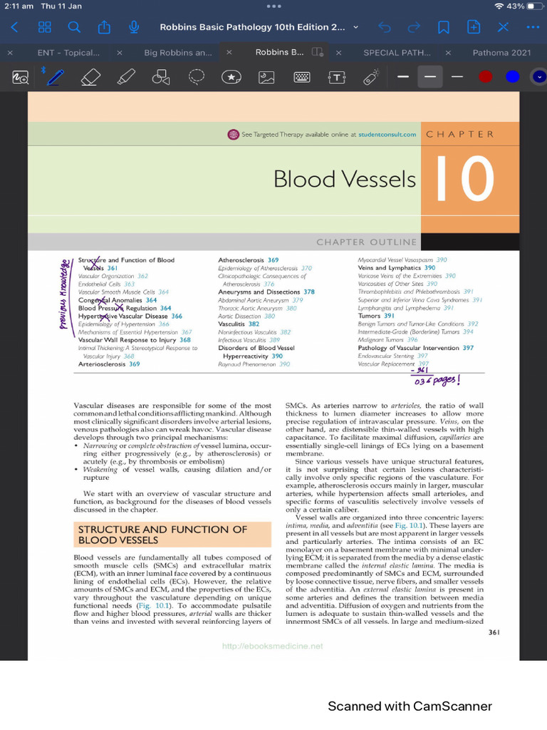 Vessels Patho Shortlisting | PDF