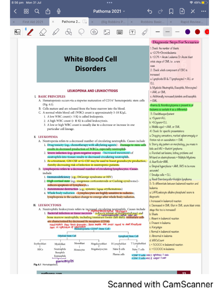 WBC Patho Shortlisting | PDF