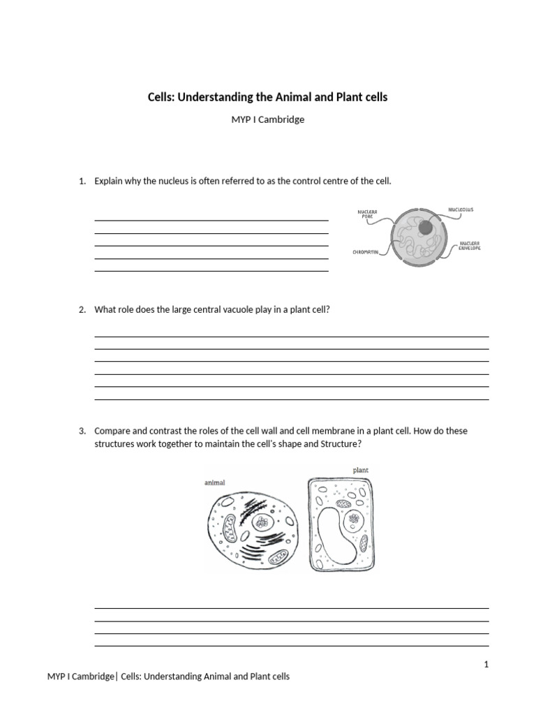 Grade 6 Animal and Plant Cells | PDF