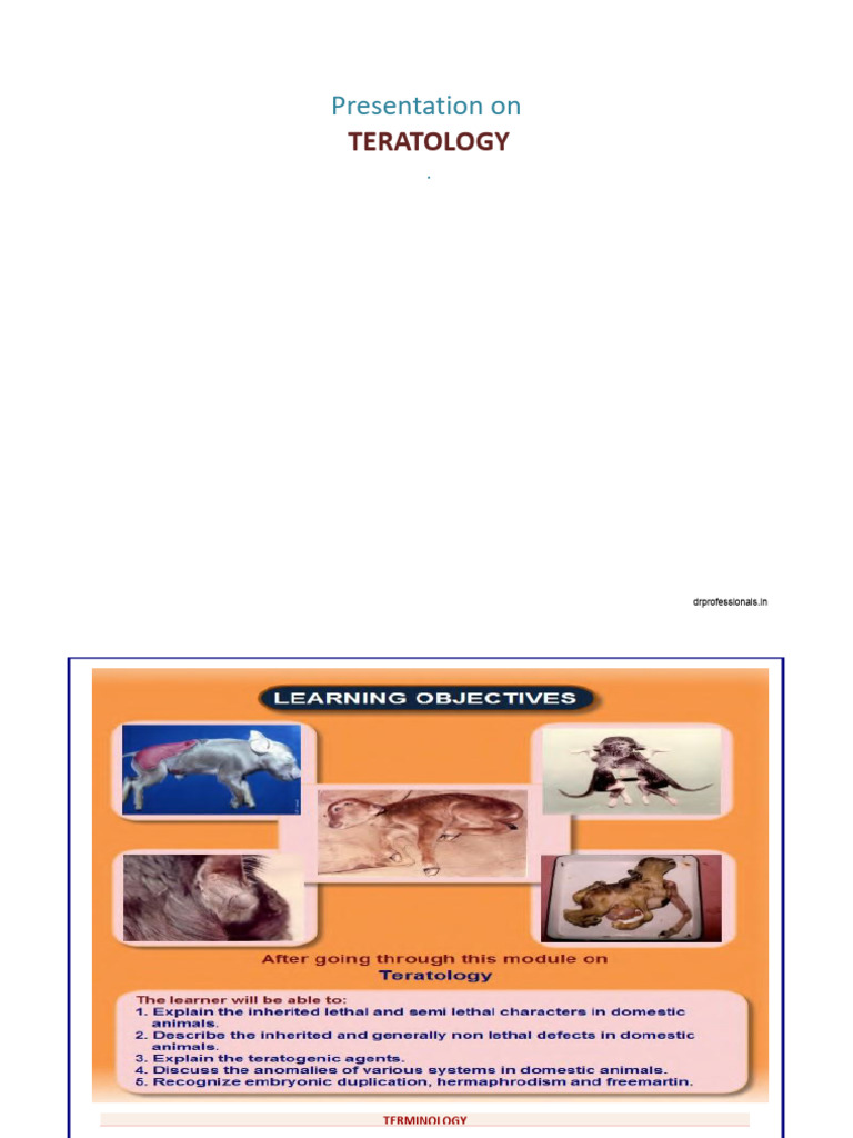 Teratology | PDF