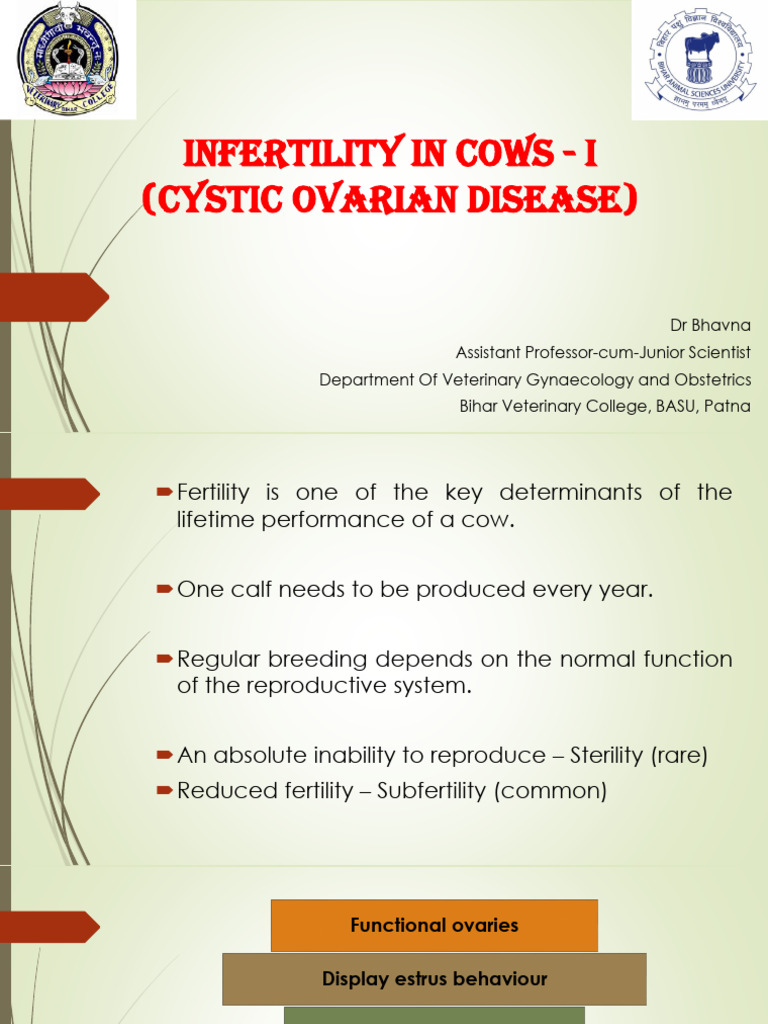 Lect 12 Cystic Ovarian Disease | PDF