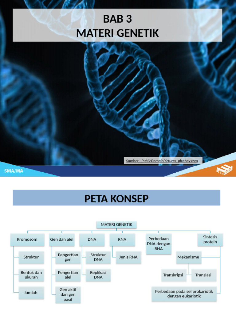 Dasar Materi Genetik | PDF