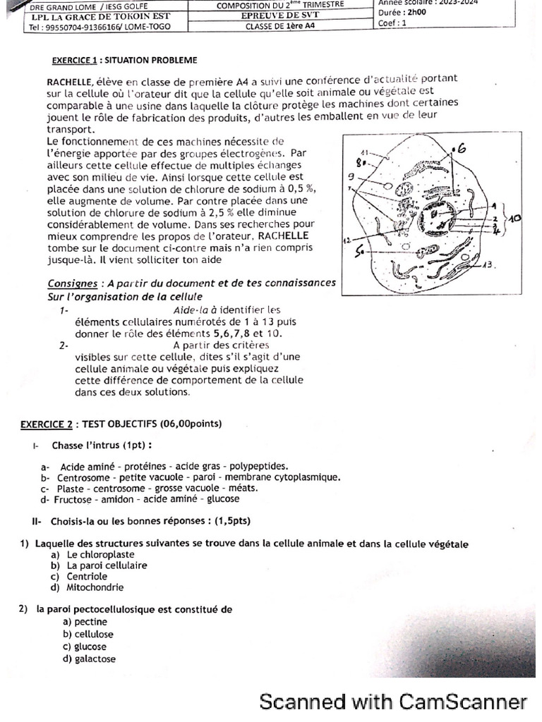 Composition Corrigé Par M. Le Zovuste | PDF