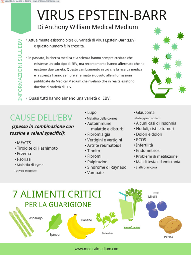 Epstein-Barr-Virus.en. | PDF