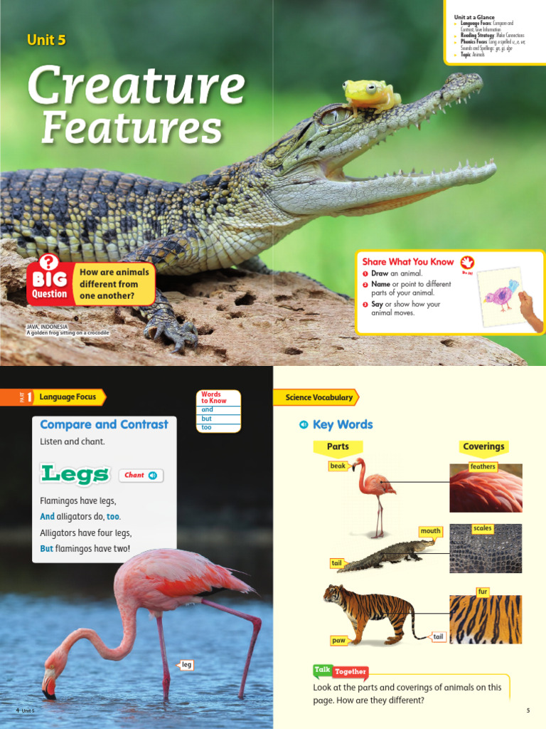 Creature 2 ND PDF | PDF