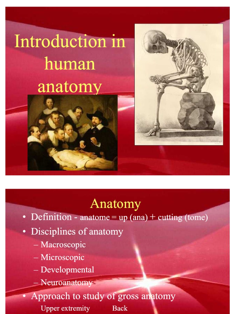 Introduction in Human Anatomy | PDF