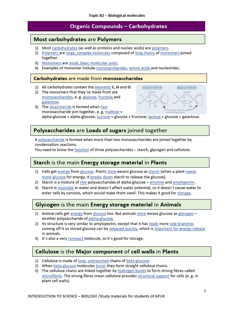 04 Organic Compounds - Carbohydrates | PDF