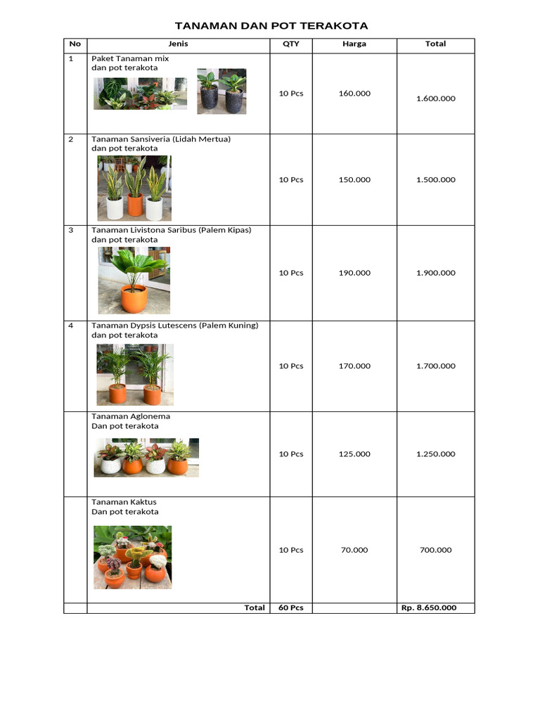 Tanaman Dan Pot Terakota | PDF
