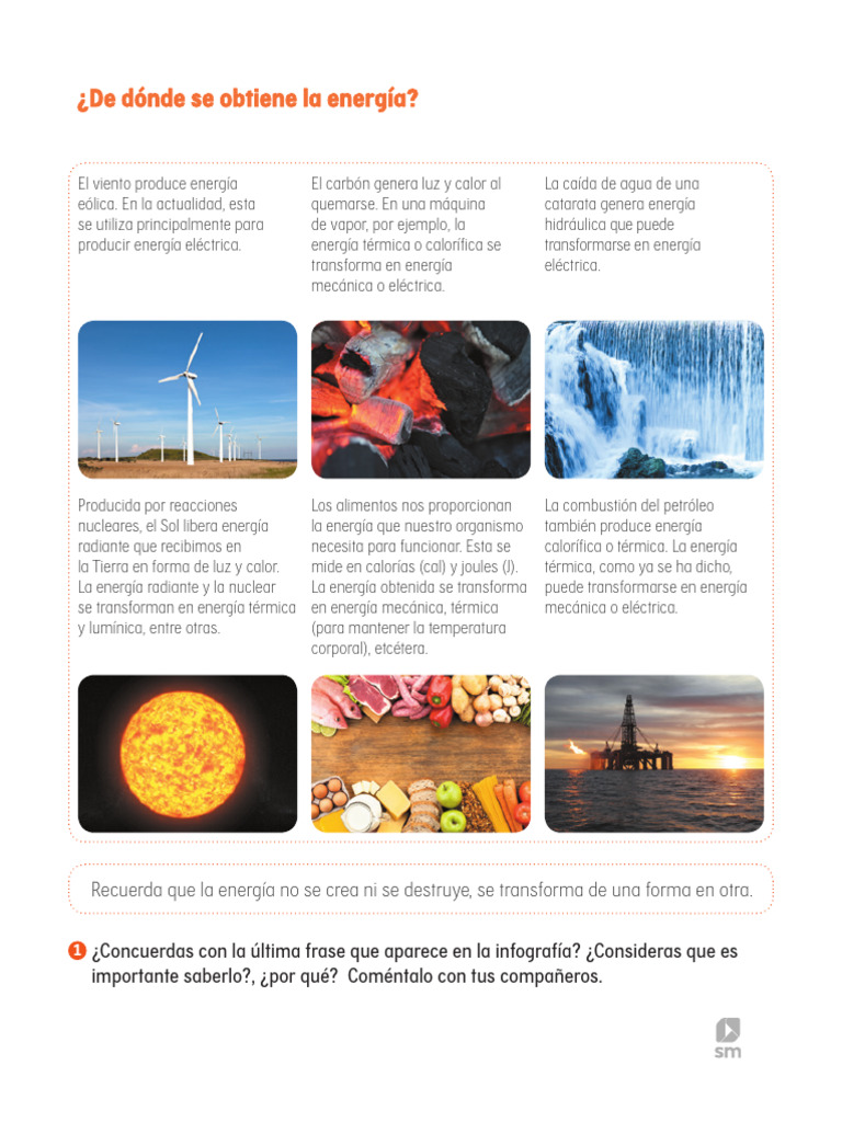 Dónde Se Obtiene La Energía | PDF