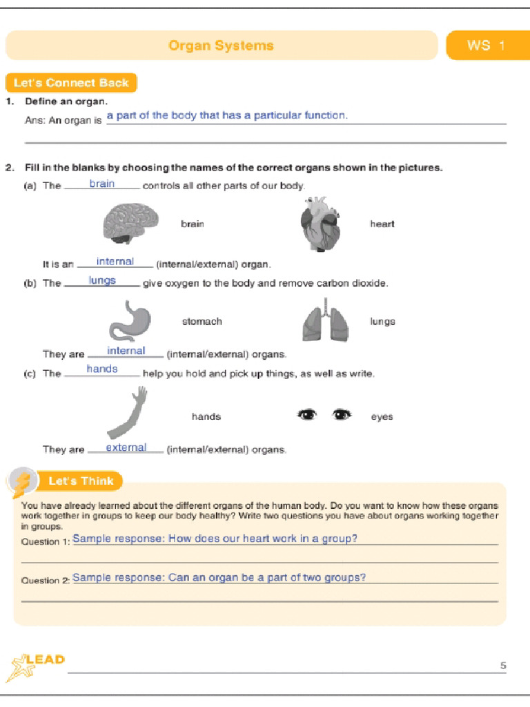 4th EVS Unit 1 | PDF