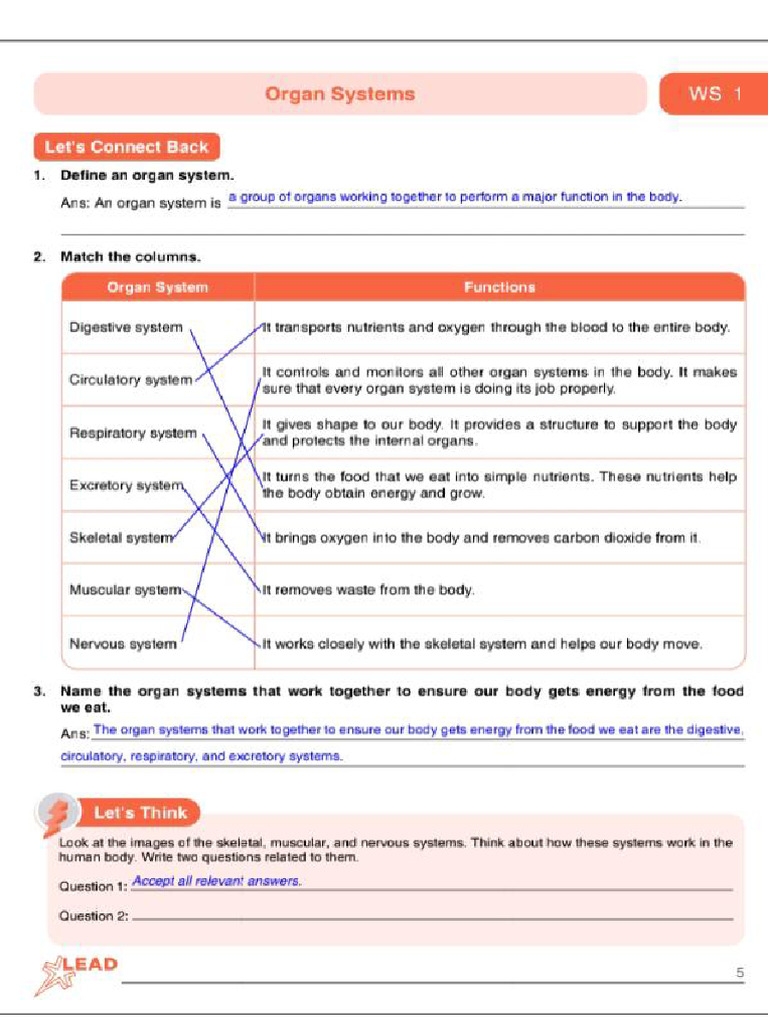 5th EVS Unit 1 | PDF