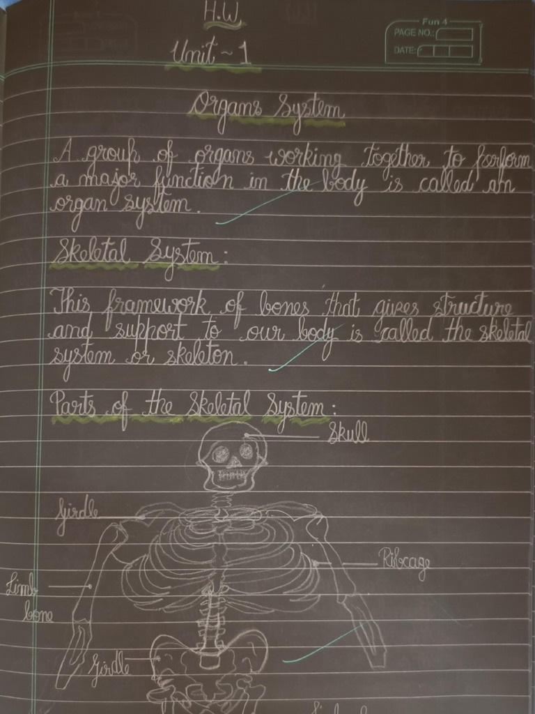 Unit 1 5th EVS Notebook Work | PDF