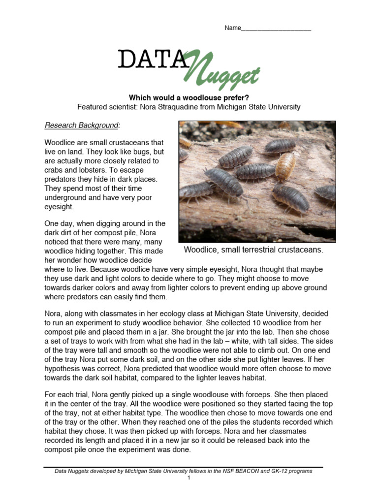 Data Nugget Woodlouse (chi square) | PDF