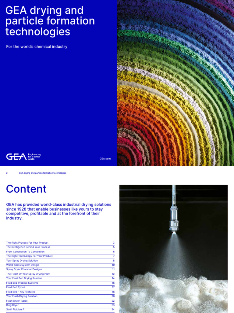 Drying Spray Atomizer Fluid Bed Particle Formation Chemical Gea | PDF ...