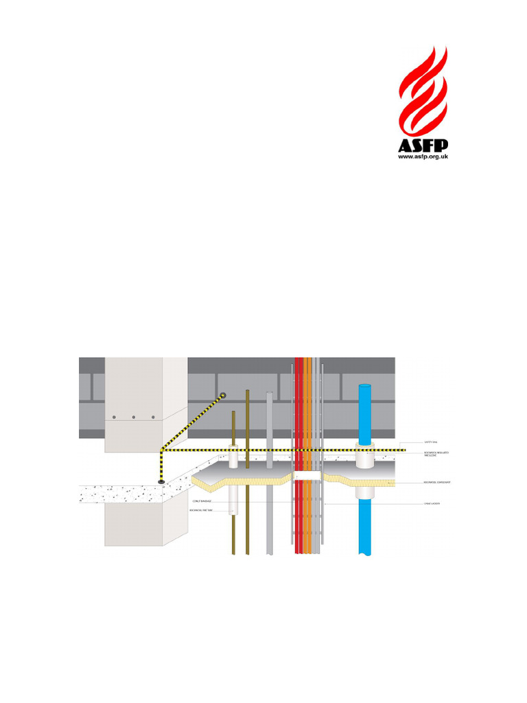 ASFP Advisory Note 1 | PDF