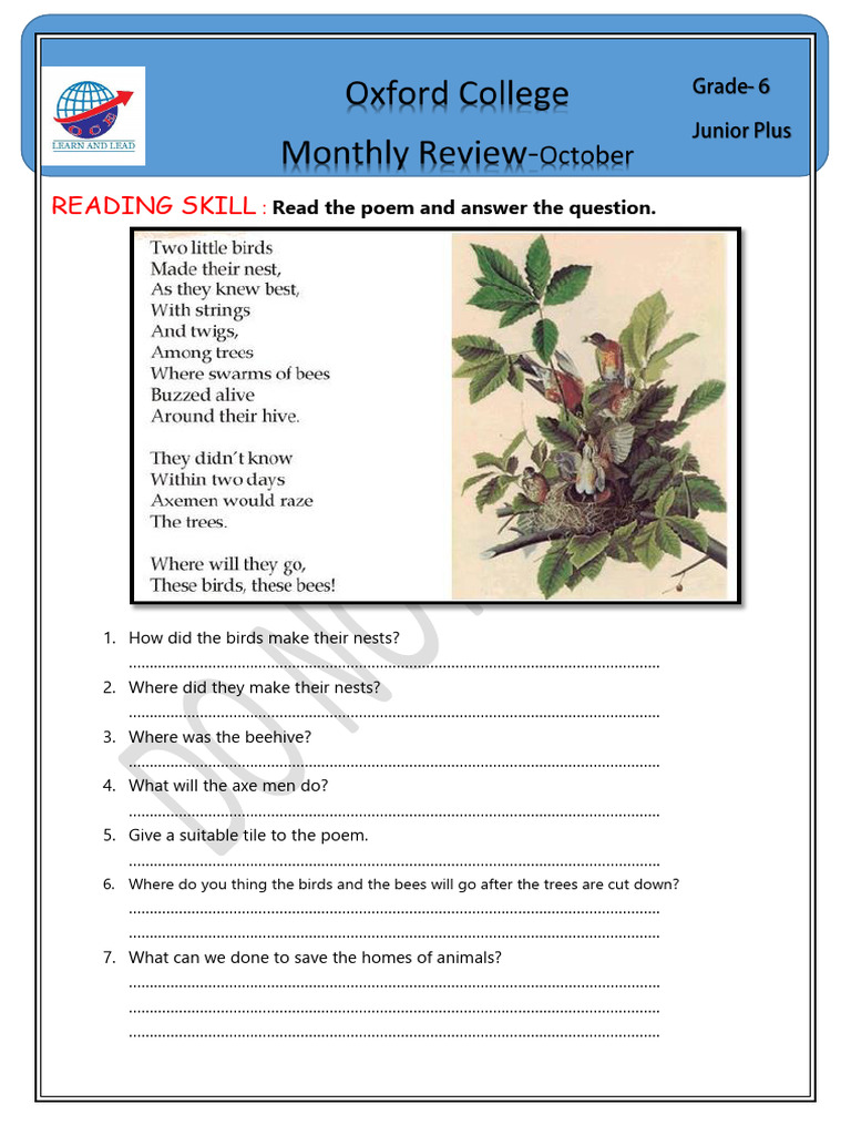 Grade 6 LESSONS New Today Class Lessons | PDF