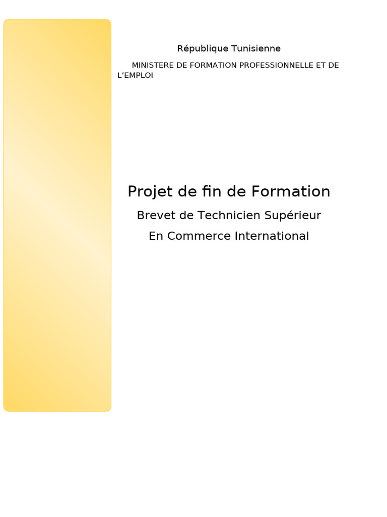 Copie Finale Abir | PDF