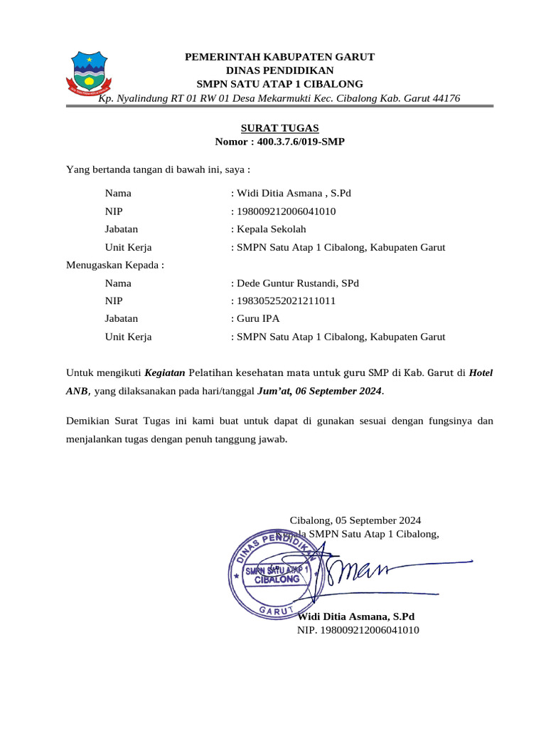 Surat Tugas P Dede PKRS | PDF