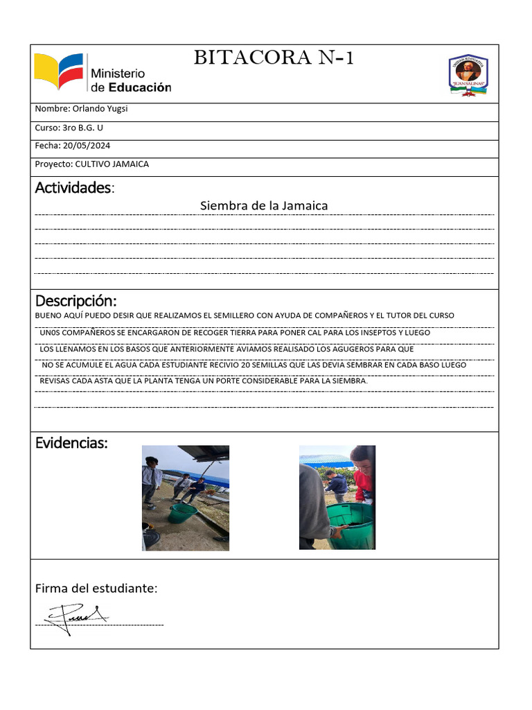 Bitacoras Proyecto 3 | PDF