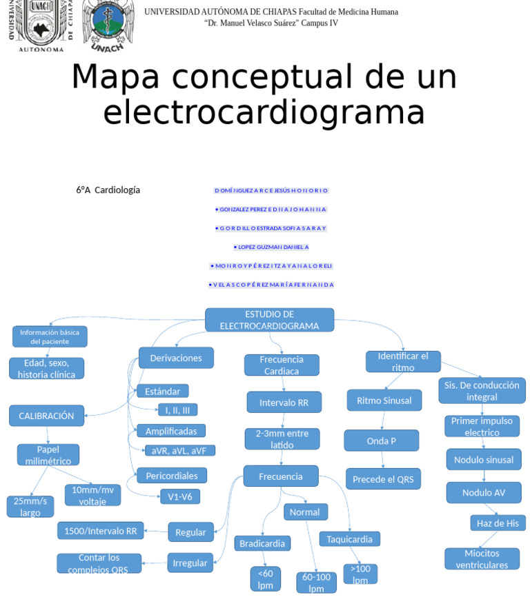 Mapa Conceptual de Un Electrocardiograma | PDF