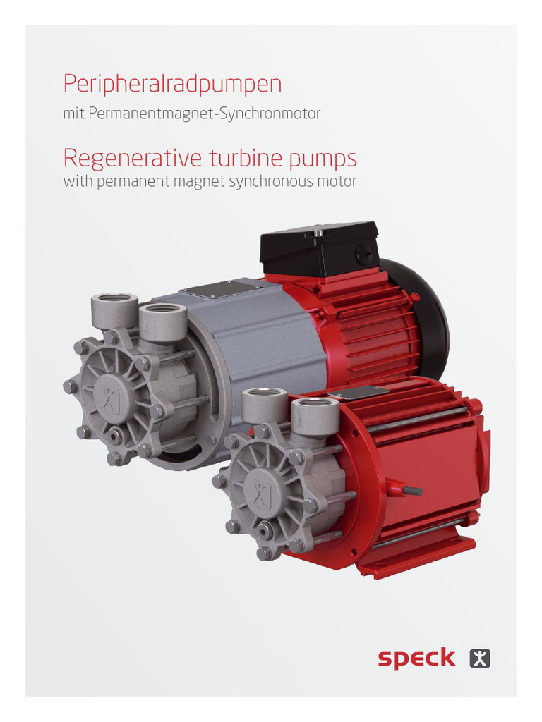 Regenerative Turbine Pumps With Permanent Magnet Synchronous Motor | PDF