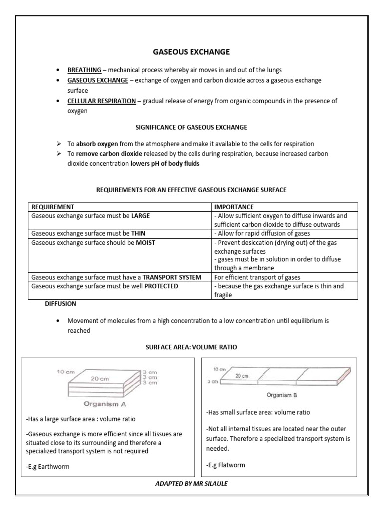 Gaseous Exchange | PDF