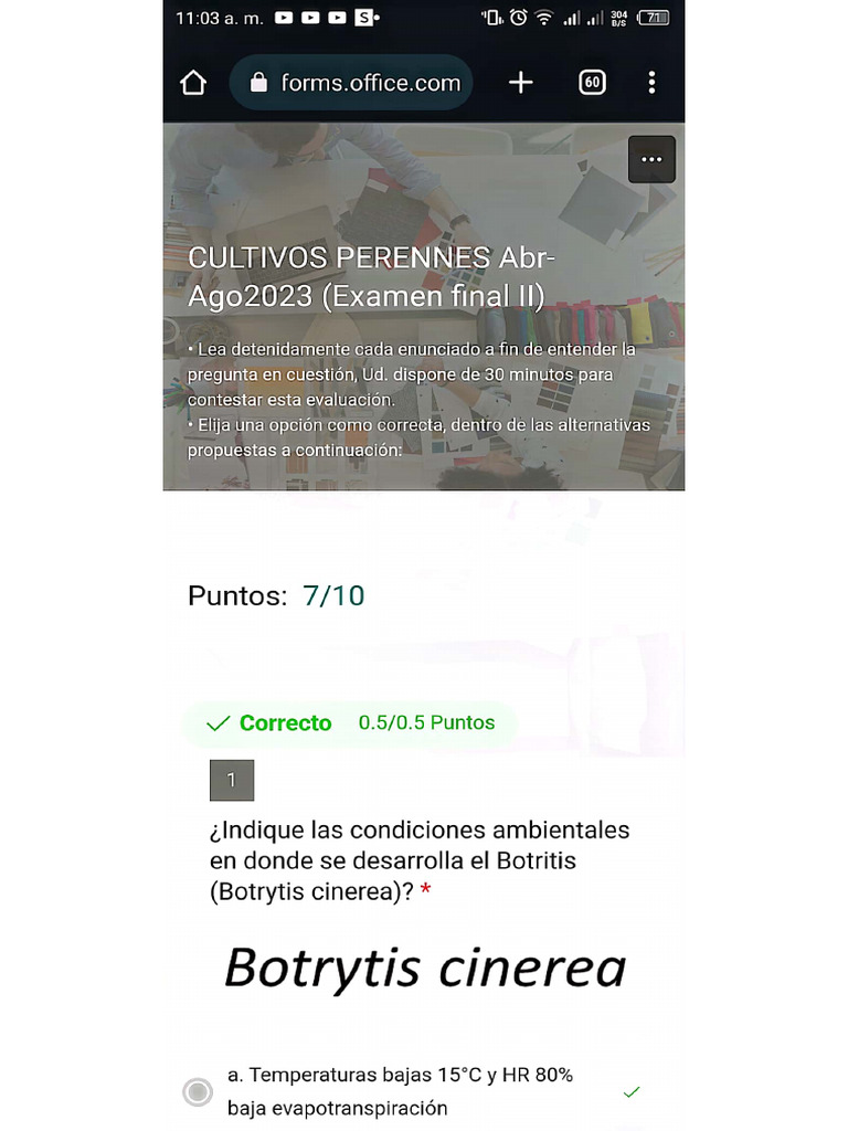 Huera L Examen2 | PDF