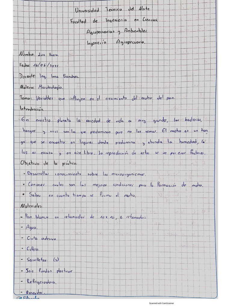 Huera Luis Practica 1 | PDF