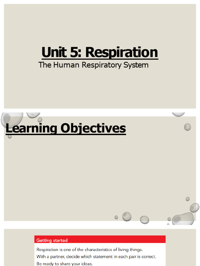 1 1 Human Respiratory System Pdf