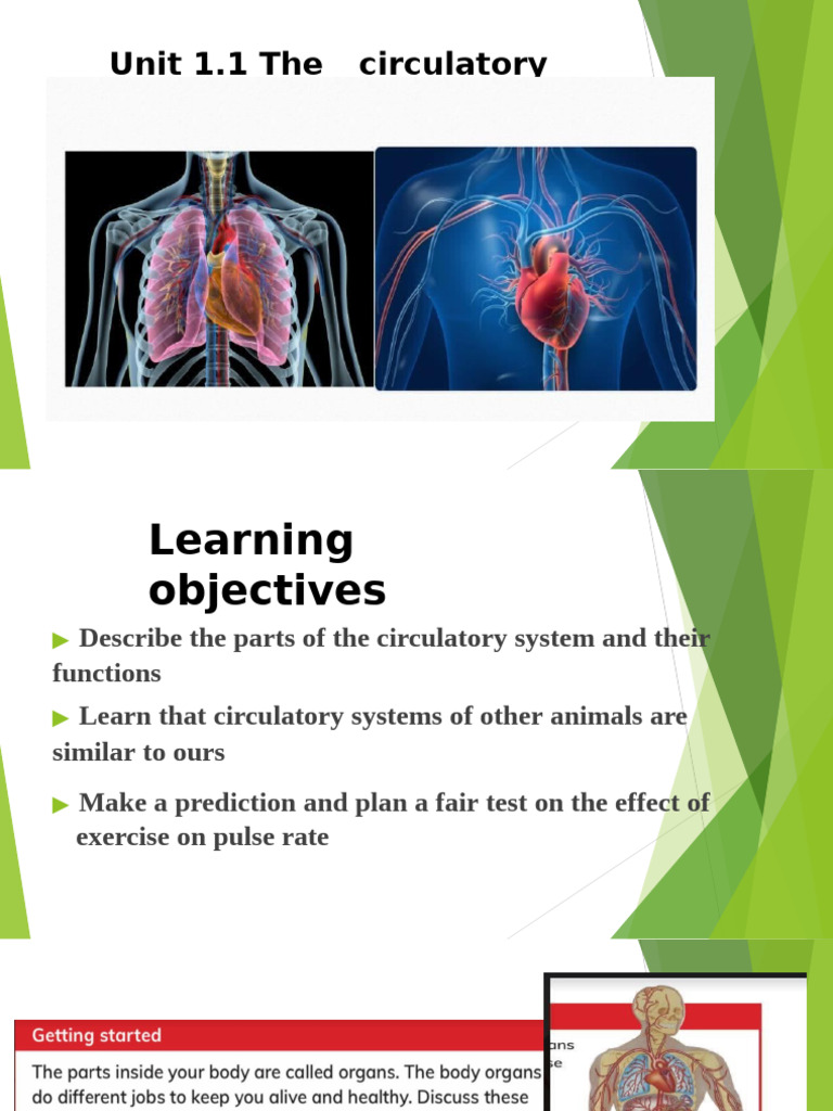Unit 1.1 The Circulatory System | PDF