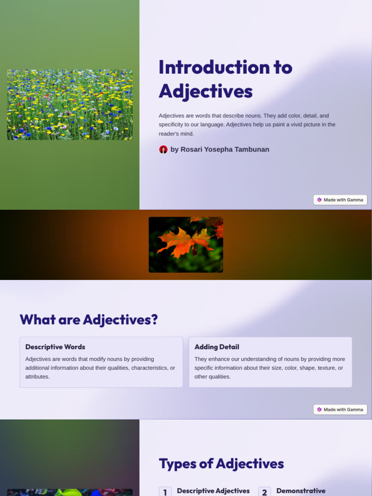 Introduction To Adjectives Pdf