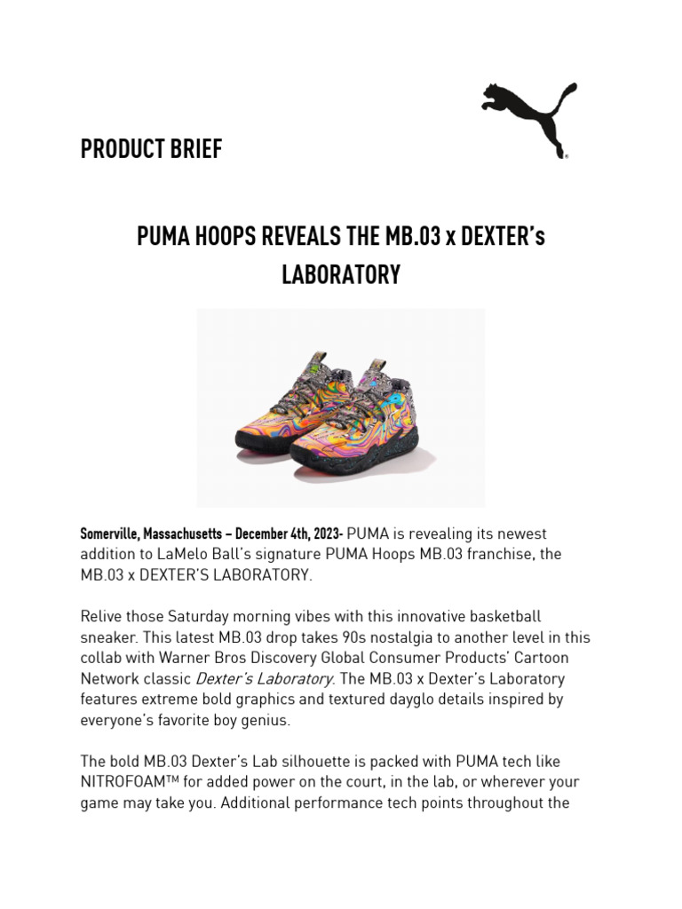 MB.03 X Dexter's Lab Product Brief - FINAL | PDF